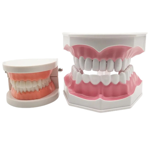 Laboratory Dentures Dental Filled Dental Implants Complete Restorative ...